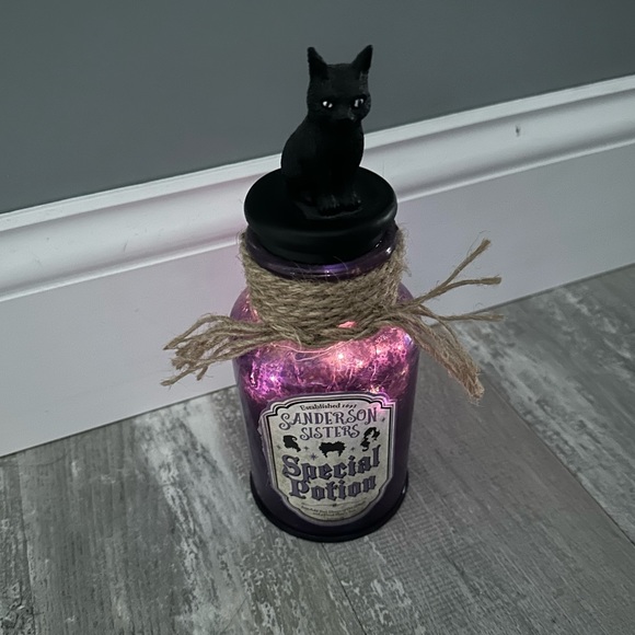Spirit Of Halloween | Holiday | Hocus Pocus Binx The Cat Light Up ...
